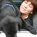 Marie Dillon’s Profile | Chicago Tribune, The State Journal-Register ...