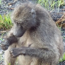 Edward-Isaac Dovere’s Profile | CNN Journalist | Muck Rack