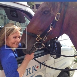 Deborah Wrigley’s Profile | WABC-TV (New York, NY), WLS-TV (Chicago, IL ...