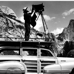 Madeline Sullivan’s Profile | Wiley Online Library, MDPI Journalist ...