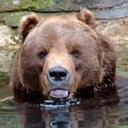 Brian Bowling’s Profile | Associated Press, U.S. News and World Report ...