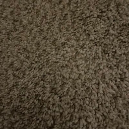 Jelena Stajic’s Profile | Science Magazine Journalist | Muck Rack