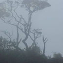 Alvin Powell’s Profile | MSN, TIME, Harvard Gazette Journalist | Muck Rack