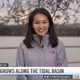 Articles by Aimee Cho’s Profile | WRC-TV (Washington, DC) Journalist ...