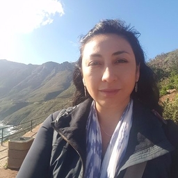 Valerie Volcovici’s Profile | Reuters Journalist | Muck Rack