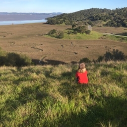 Mike Wall’s Profile | SPACE.com Journalist | Muck Rack