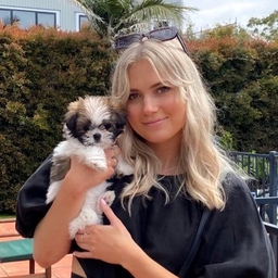 Caitlin Ellis’s Profile | MSN (US), MSN New Zealand, Yahoo News UK ...