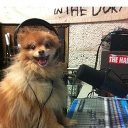 Alisa Ali’s Profile | WFUV-FM (Bronx, NY) Journalist | Muck Rack