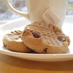 Alisa Fleming’s Profile | Go Dairy Free Journalist | Muck Rack