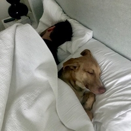 Noah Kirsch’s Profile | Freelance Journalist | Muck Rack