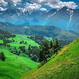 Justin Loew’s Profile | WAOW-TV (Wausau, WI) Journalist | Muck Rack