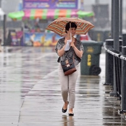 Erica Moser’s Profile | MSN, Yahoo News, Knowledge@Wharton Journalist ...