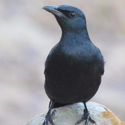 Dominic Cull’s Profile | TechCentral, IT News Africa, The Media Online ...