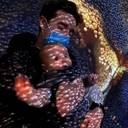 Hamish Mackay’s Profile | The Guardian Journalist | Muck Rack