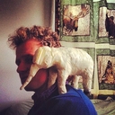 Samuel Lieberman’s Profile | The Atlantic, Intelligencer, New York ...