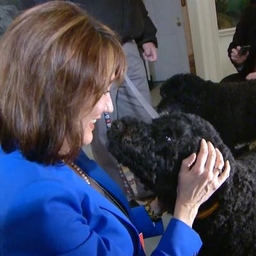 Laural Porter’s Profile | KGW-TV (Portland, OR), KGW’s Straight Talk ...