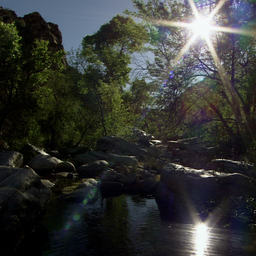 Tony Paniagua’s Profile | KUAT-TV (Tucson, AZ), Arizona Public Media ...