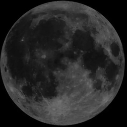 Michelle Kim’s Profile | Freelance Journalist | Muck Rack