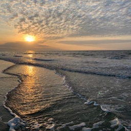 Sam Wall’s Profile | Roanoke Times Journalist | Muck Rack