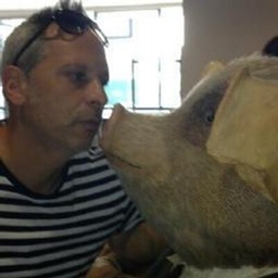 Simon Hattenstone’s Profile | The Guardian Journalist | Muck Rack