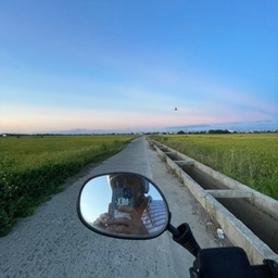 Articles by Bryan Pietsch’s Profile | Bloomberg News Journalist | Muck Rack