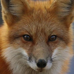 Ken Fox’s Profile | The Elkhart Truth Journalist | Muck Rack