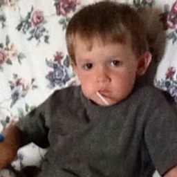 Hayden Meikle’s Profile | Otago Daily Times Journalist | Muck Rack