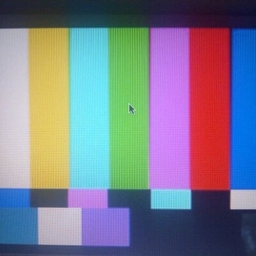 Marina Labby’s Profile | CICT-TV (Calgary, AB) Journalist | Muck Rack