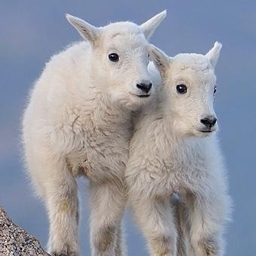 Joshua Hardin’s Profile | Colorado Life Magazine Journalist | Muck Rack