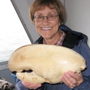 Diana Rattray’s Profile | The Citizen (South Africa), The Spruce, The ...