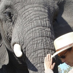 Ingrid Formanek’s Profile | CNN Journalist | Muck Rack