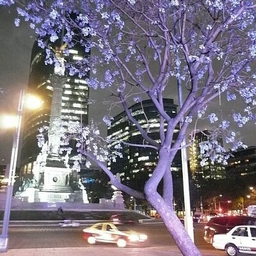 Lydia Carey’s Profile | Freelance Journalist | Muck Rack