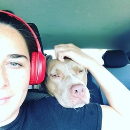 Maria Clark’s Profile | Color Research & Application, USA Today, Wiley ...