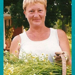 Barbara Gillette’s Profile | The Spruce Journalist | Muck Rack