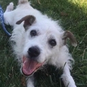 Jamie Riley’s Profile | The Contrarian Journalist | Muck Rack