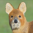 Mike Winters’s Profile | CNBC Make It Journalist | Muck Rack