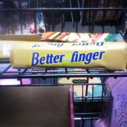 Anna Pulley’s Profile | VICE, Broadly, Chicago Tribune Journalist ...