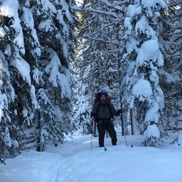 Ian Bickis’s Profile | The Canadian Press Journalist | Muck Rack