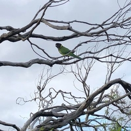 Grégory Letort’s Profile | La République des Pyrénées Journalist | Muck ...
