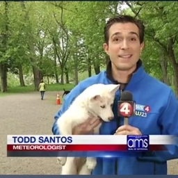 Todd Santos’s Profile | WIVB-TV (Buffalo, NY) Journalist | Muck Rack