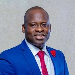 Babs Olugbemi’s Profile | BusinessDay Nigeria Journalist | Muck Rack