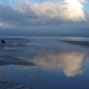 Alison Macdonald’s Profile | BBC Journalist | Muck Rack