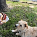 Danielle Green’s Profile | Medscape, Daily Herald, The Crime Report ...