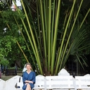 Meaghan Tobin’s Profile | The New York Times Journalist | Muck Rack