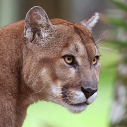 John Wirt’s Profile | The Advocate (Baton Rouge, LA) Journalist | Muck Rack