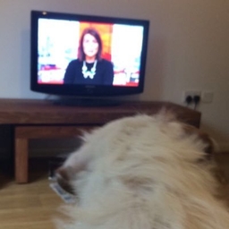 Hannah Meredith’s Profile | BBC Radio Leicester Journalist | Muck Rack