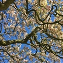 Felicity Evans’s Profile | BBC Journalist | Muck Rack