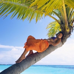 Stuart Dee’s Profile | National Geographic, National Geographic ...