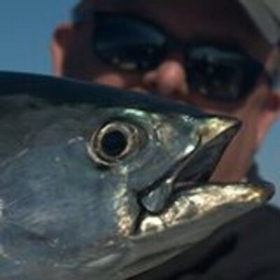 Gary Reich’s Profile | Trade Only Today Journalist | Muck Rack