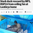 Steve Rice’s Profile | The Herald Sun, The Coffs Coast Advocate, The ...